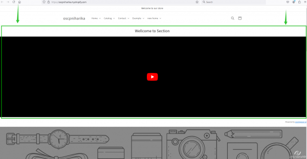 How to Add a Custom HTML Section in Shopify